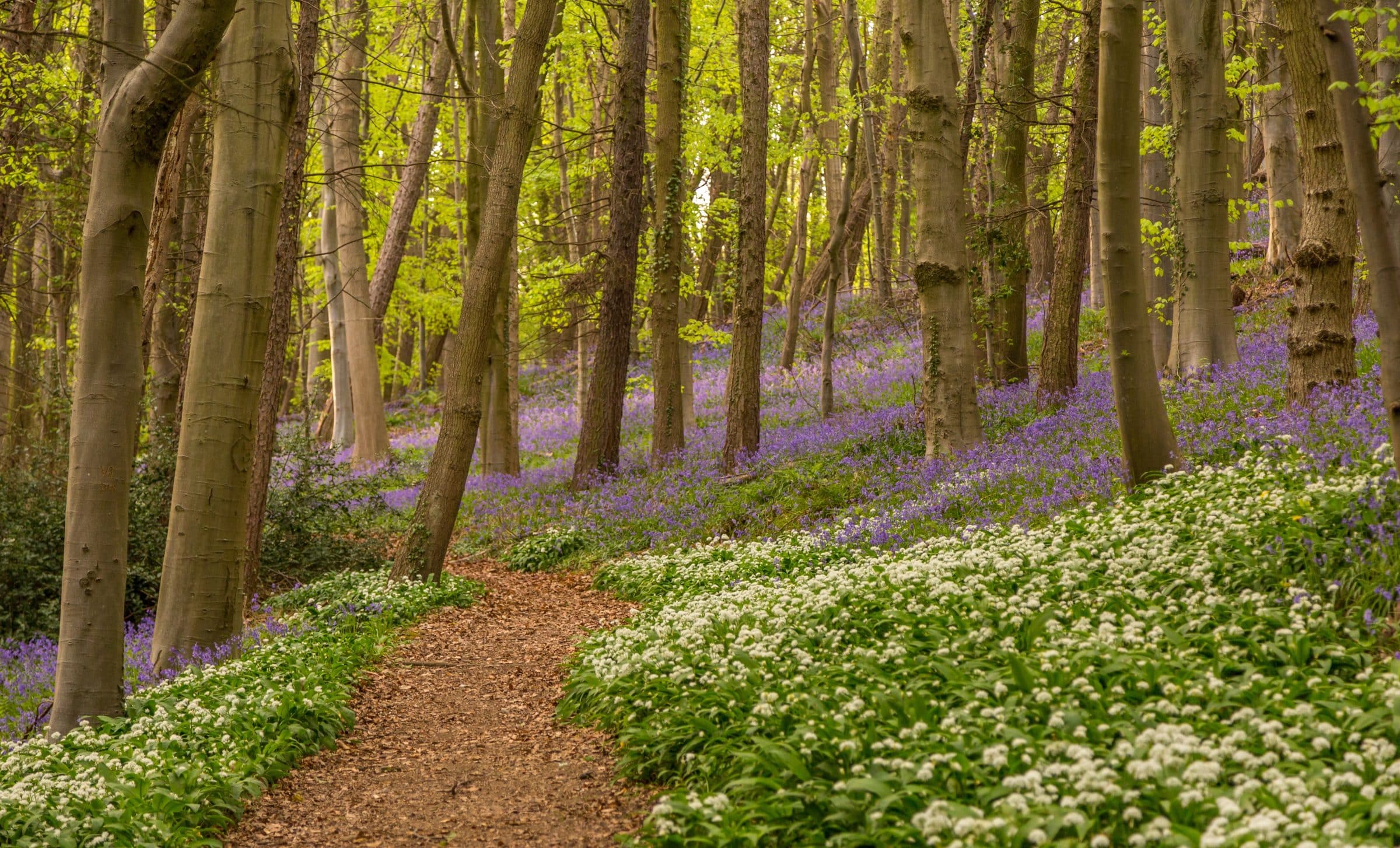 The Oaks, Havant Crematorium - AH Freemantle, Family-Run Hampshire